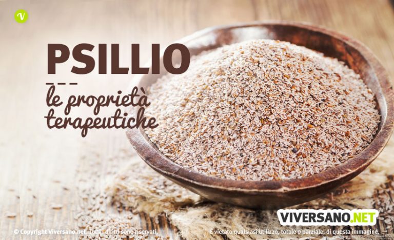 Semi di psillio: proprietà, come si usano, controindicazioni e acquisto