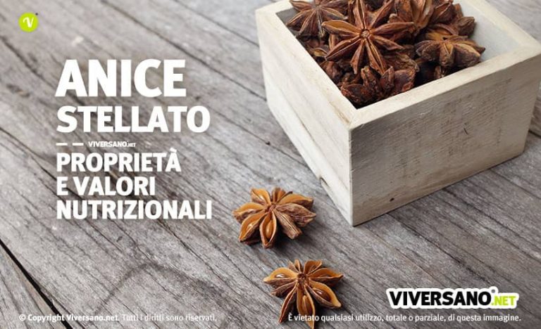Anice stellato: proprietà, consigli d'uso e controindicazioni