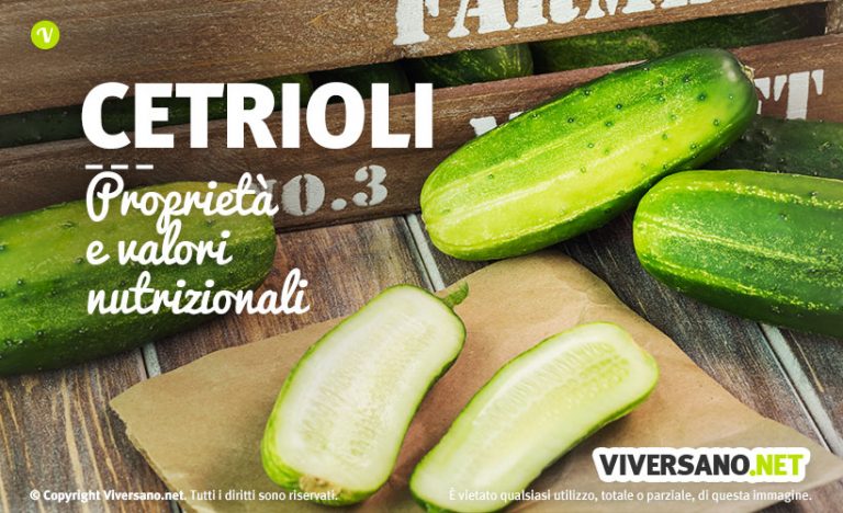 Cetriolo: proprietà, benefici e controindicazioni dei cetrioli