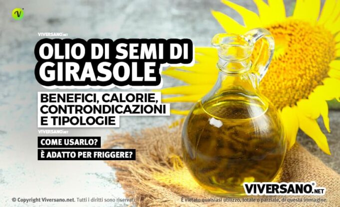 Olio di girasole: proprietà nutrizionali, benefici e controindicazioni