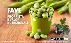 Fave fresche o secche: proprietà, valori nutrizionali e controindicazioni