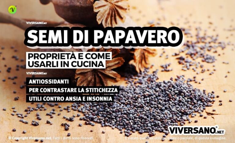 Semi di papavero: proprietà, benefici, uso e controindicazioni