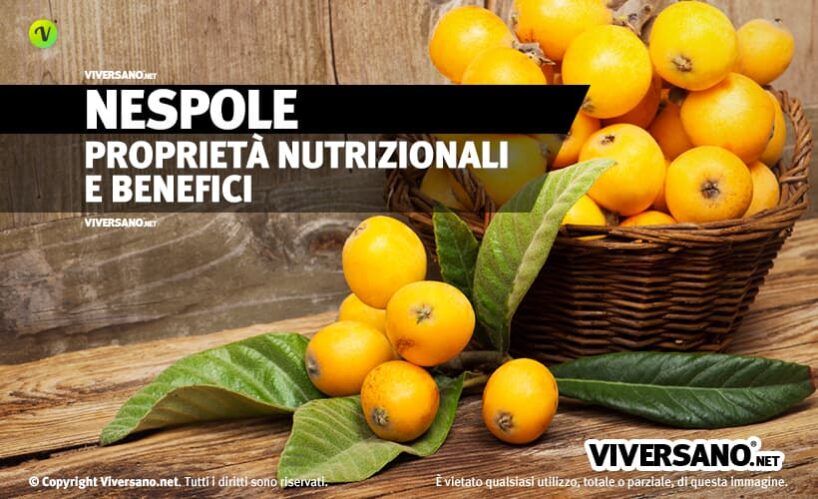 Nespole: proprietà e benefici, consigli d'uso e controindicazioni