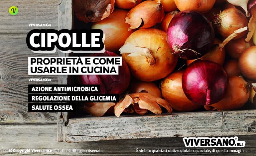 Cipolla, a cosa fa bene? Proprietà, 8 benefici e controindicazioni