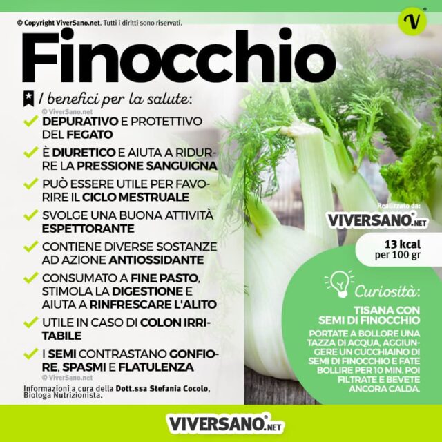 Finocchio: proprietà, valori nutrizionali, benefici e controindicazioni