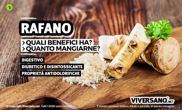 Rafano (Cren): proprietà, benefici e controindicazioni