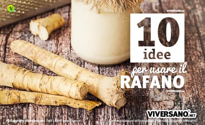10 ricette veloci con il rafano per utilizzarlo in cucina