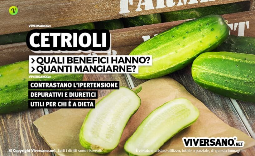 Cetriolo: proprietà, calorie, benefici e controindicazioni dei cetrioli