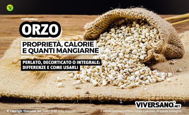 Orzo perlato o integrale: proprietà, valori nutrizionali e ...