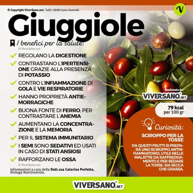 Giuggiole: proprietà, calorie, come si mangiano e benefici del frutto