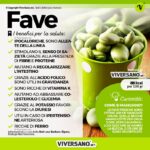 Fave fresche o secche: proprietà, valori nutrizionali e controindicazioni