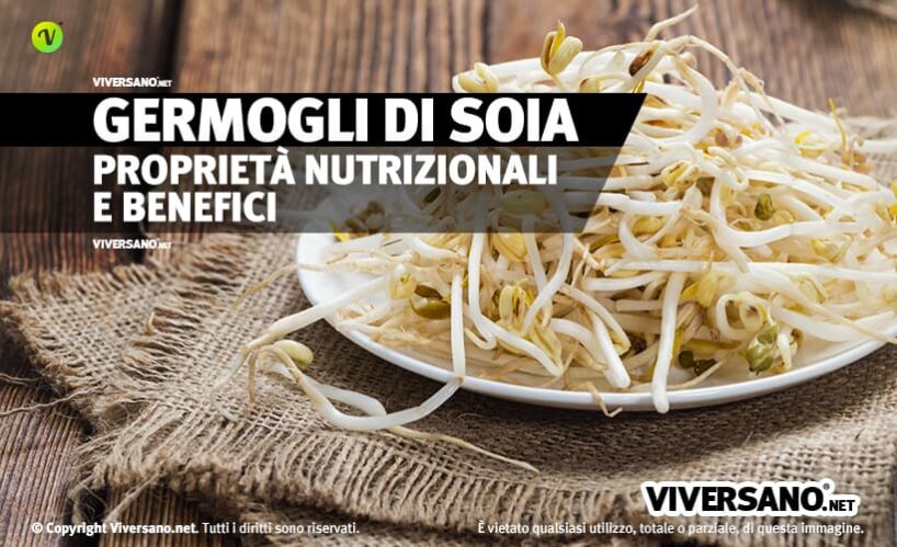 Germogli di soia: proprietà, calorie, benefici e controindicazioni