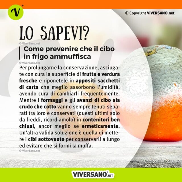 Cosa succede se mangi alimenti con la muffa? A quali fare attenzione?