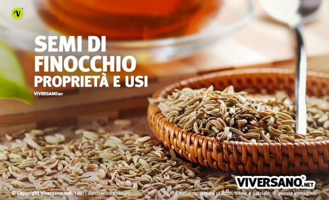Semi di finocchio: proprietà, controindicazioni e uso in tisana o in cucina