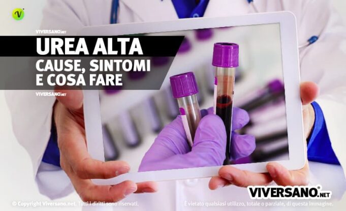 Azotemia alta: cause, valori normali, rimedi e dieta corretta