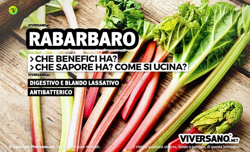 Rabarbaro: proprietà, benefici, come si usa e controindicazioni