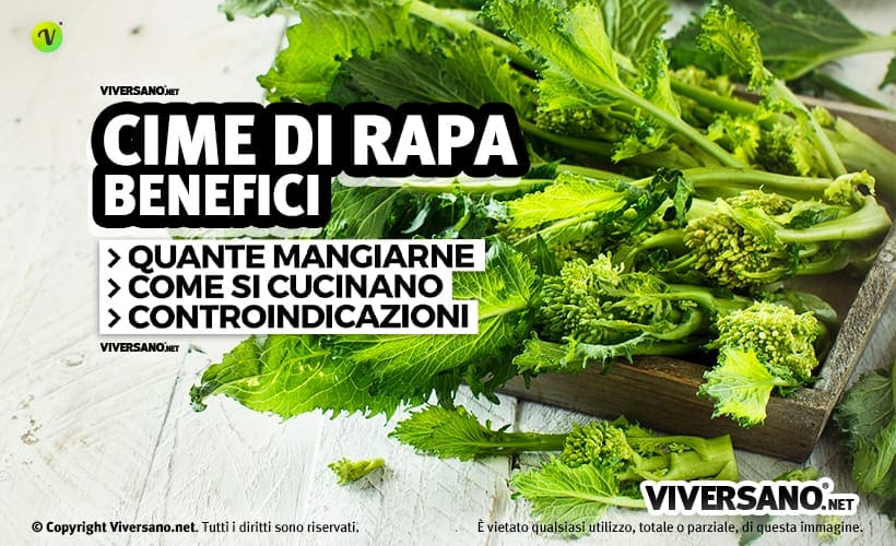 Cime di rapa: proprietà nutrizionali, calorie, benefici e controindicazioni