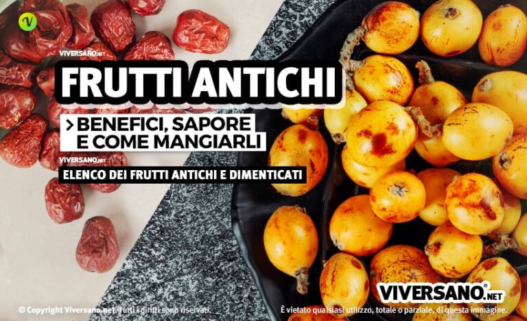 Frutti antichi: ecco 10 frutti dimenticati da riportare in tavola